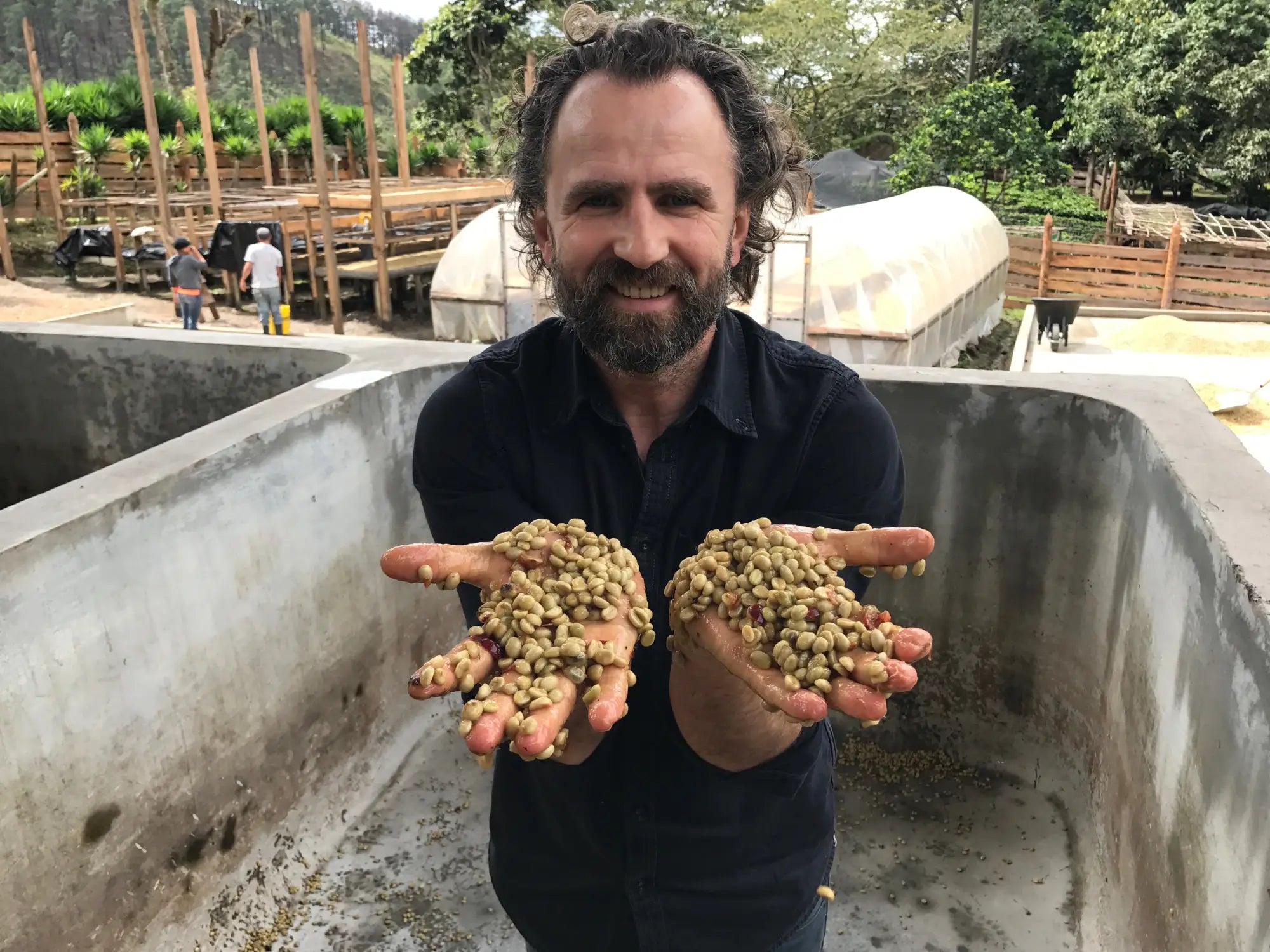 How Coffee is Processed: Dry vs. Washed Explained – Dritan Alsela Shop
